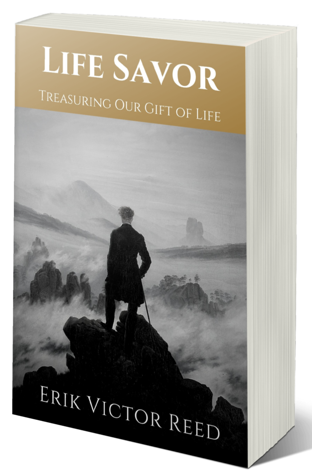 Why We Try - Life-Savor.com